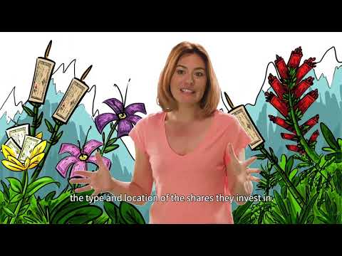 What are mutual funds?