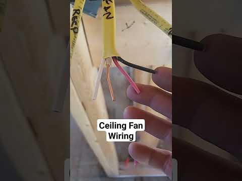 Ceiling Fan Wiring, Remember This! #diy #ceilingfan #shorts