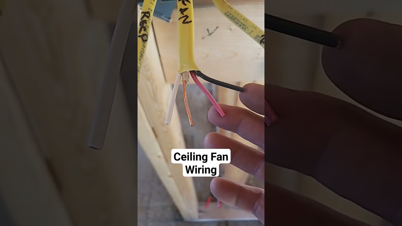 Ceiling Fan Wiring, Remember This! #diy #ceilingfan #shorts