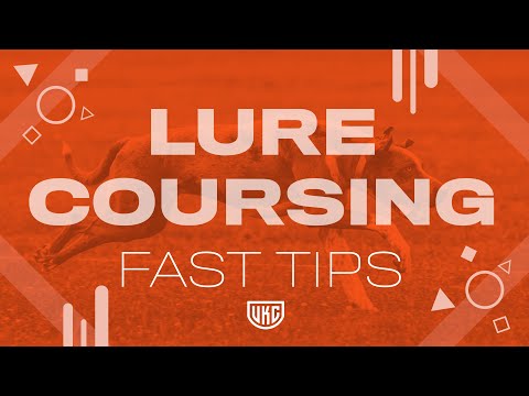 Fast Tips - UKC Lure Coursing