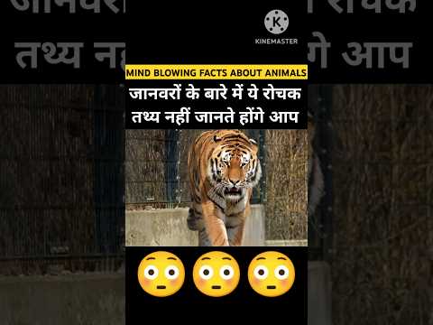 AMAZING FACTS ABOUT ANIMALS🦚 |mind blowing facts 😱 ||shorts || short videos || #facts #viral #shorts