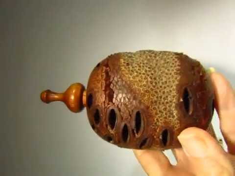 Banksia aromatherapy pod with wooden turned topper.