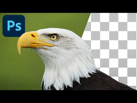 2 EASY Ways To Make Any Color Transparent In Photoshop