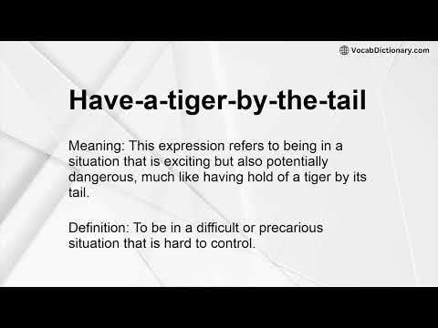 Have-a-tiger-by-the-tail Meaning