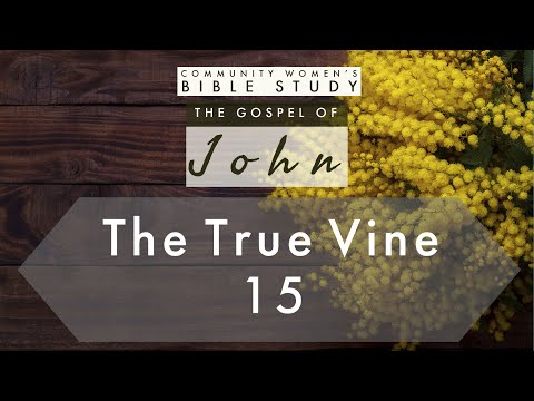 The True Vine | John 15 | Women's Bible Study