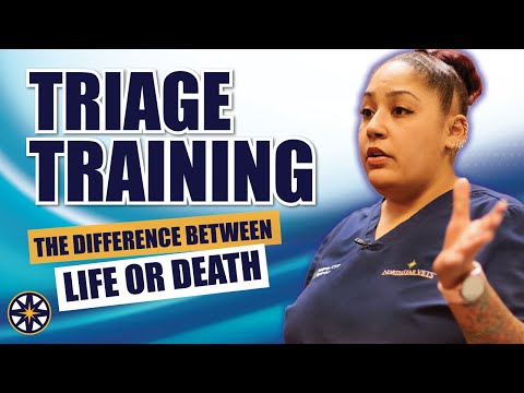 Triage Training for Veterinary Professionals: The Difference Between Life & Death