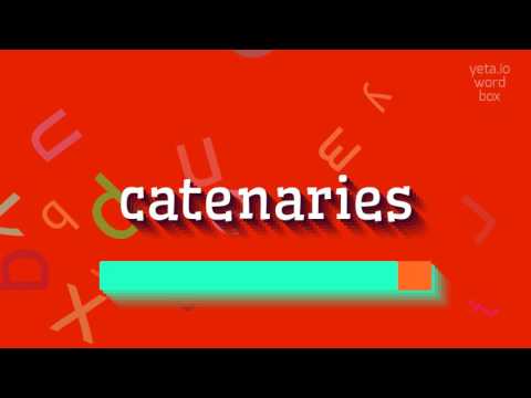 How to say "catenaries"! (High Quality Voices)
