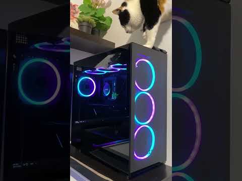 Does your cat do this? 🤔 #nzxt #pc
