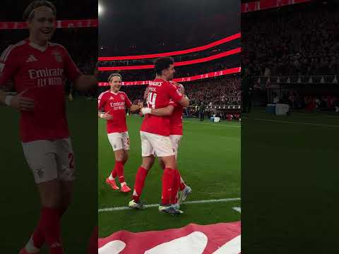 🎥 Amdouni 🤩 #SLBGDEP • #LigaPortugalBetclic