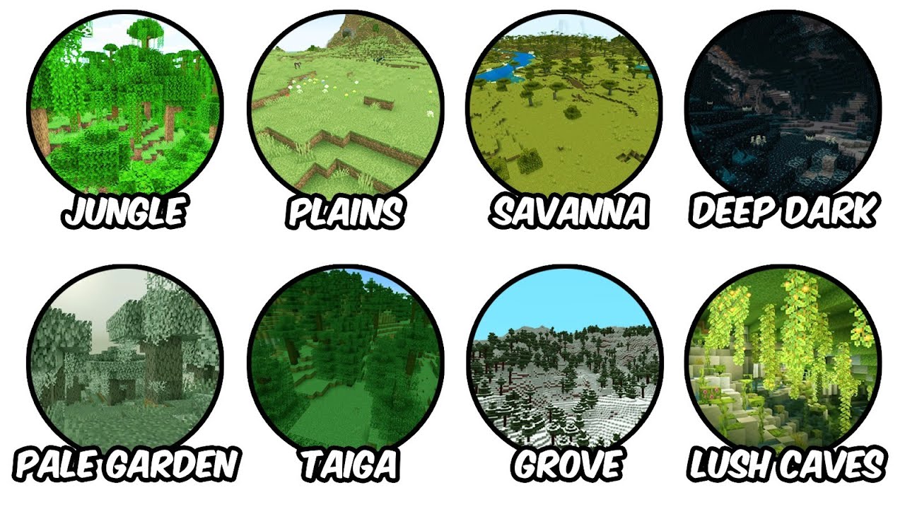 Every Minecraft Biome Explained In 21 Minutes