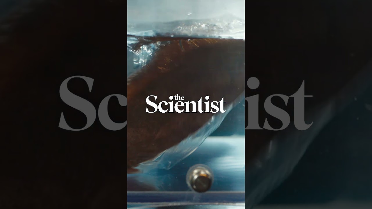 The Science of Sous Vide | Signature Kitchen Suite