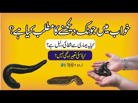Khwab Mein Jonk Dekhna | dream about Leeches| Khawabon ki tabeer in urdu | Dream Interpretation