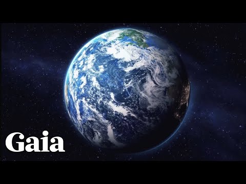 PLEADIANS Describe How Our Reality is Like a Video Game