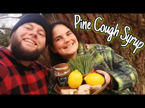 Natural Cough Syrup Made With Pine, Ginger, Honey & Lemon. Homemade Herbal Remedy 🍯