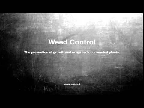 Medical vocabulary: What does Weed Control mean