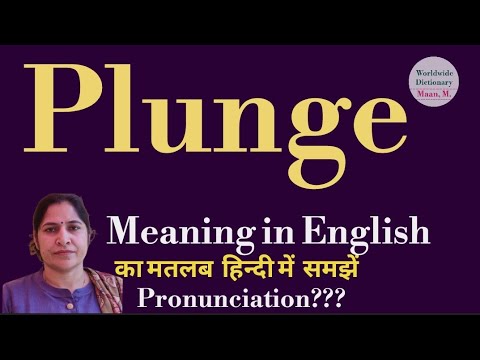 plunge meaning l meaning of plunge l plunge ka hindi mein kya matlab hota hai l