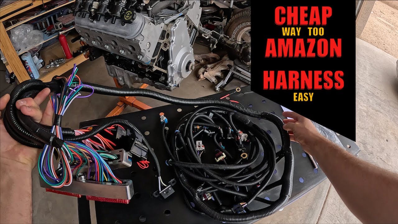 LS WIRING MADE EASY | AMAZON HARNESS WORKS