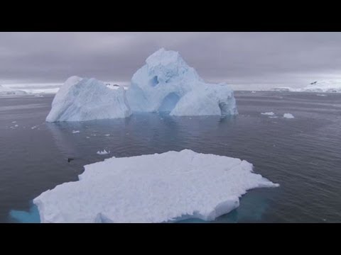 Getting Up Close to Icebergs