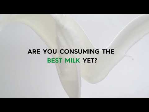 The best milk in Delhi NCR by Whyte Farms | Fresh | No need to boil | 100% Pure Cow's Milk