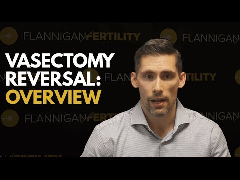 What YOU Need To Know About Vasectomy Reversals