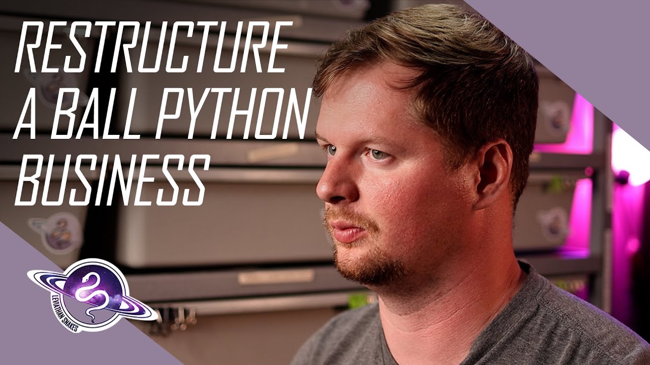 Restructure a Ball Python Breeding Program | New Ball Python Breeder Mistakes