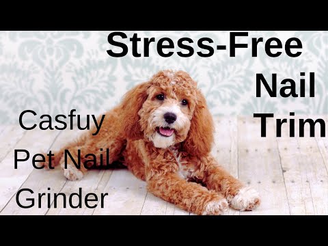 Casfuy Pet Nail Grinder: Best Grinder for Stress-Free Nail Trim