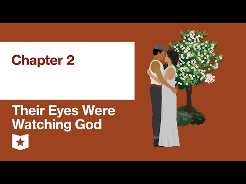 Their Eyes Were Watching God Study Guide | Course Hero