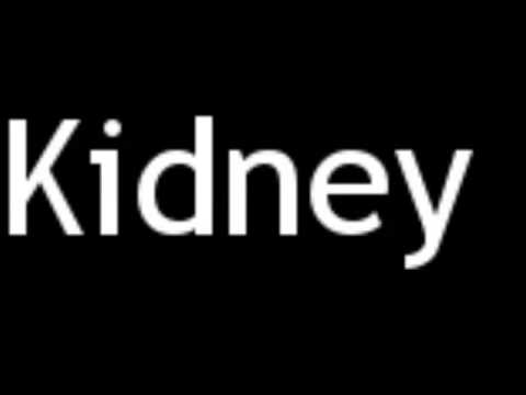 How to Pronounce Kidney