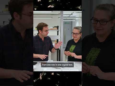 Field studies From field to collection A specimen's story trailer | Natural History Museum