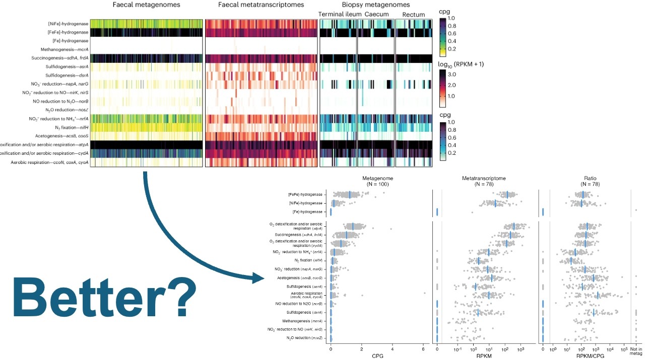 How to convert heat maps to a jittered dot plot in R using ggplot2 and patchwork (CC384)