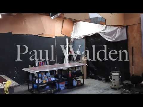 Paul Walden- Artist Biography