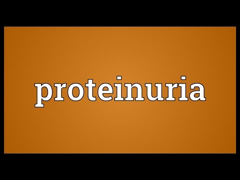 Proteinuria Meaning