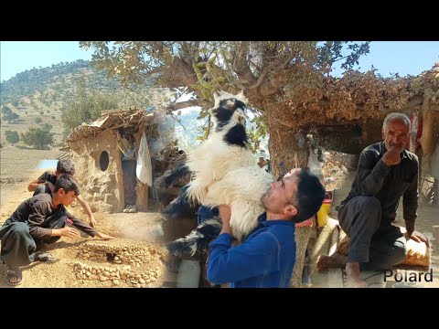 Nomadic life in Iran. Keyvan's return home and Gul Mohammad's opposition to him