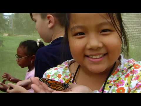 What is Citizen Science?
