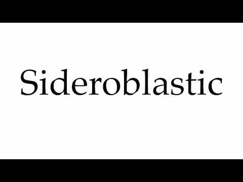 How to Pronounce Sideroblastic
