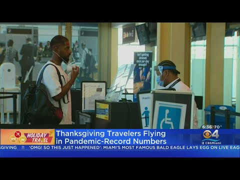 Thanksgiving Travelers Flying In Record Numbers