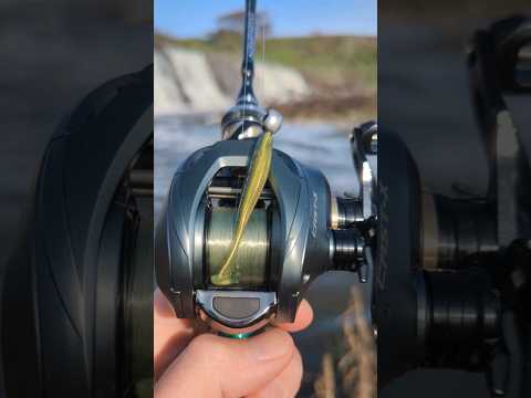 Casting Micro Jighead on Budget BFS Setup - Seasir Cast X