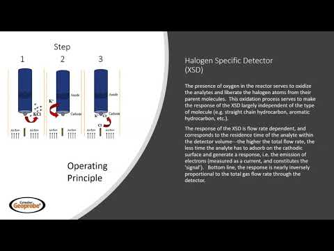 Direct Image® - Understanding and Interpreting MIP Detectors