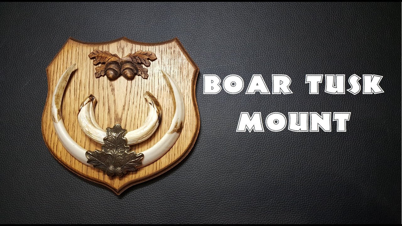 Mounting Boar Tusks
