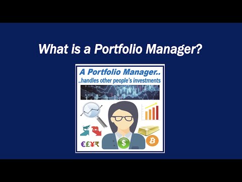What is a Portfolio Manager?