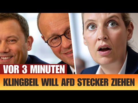 BREAKING: SPD leader Klingbeil is pushing for an AfD ban NOW!