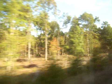 The TGV