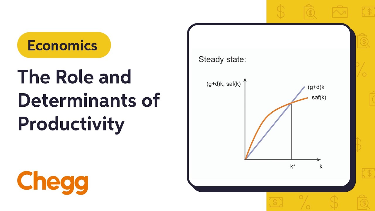 The Role and Determinants of Productivity | Macroeconomics