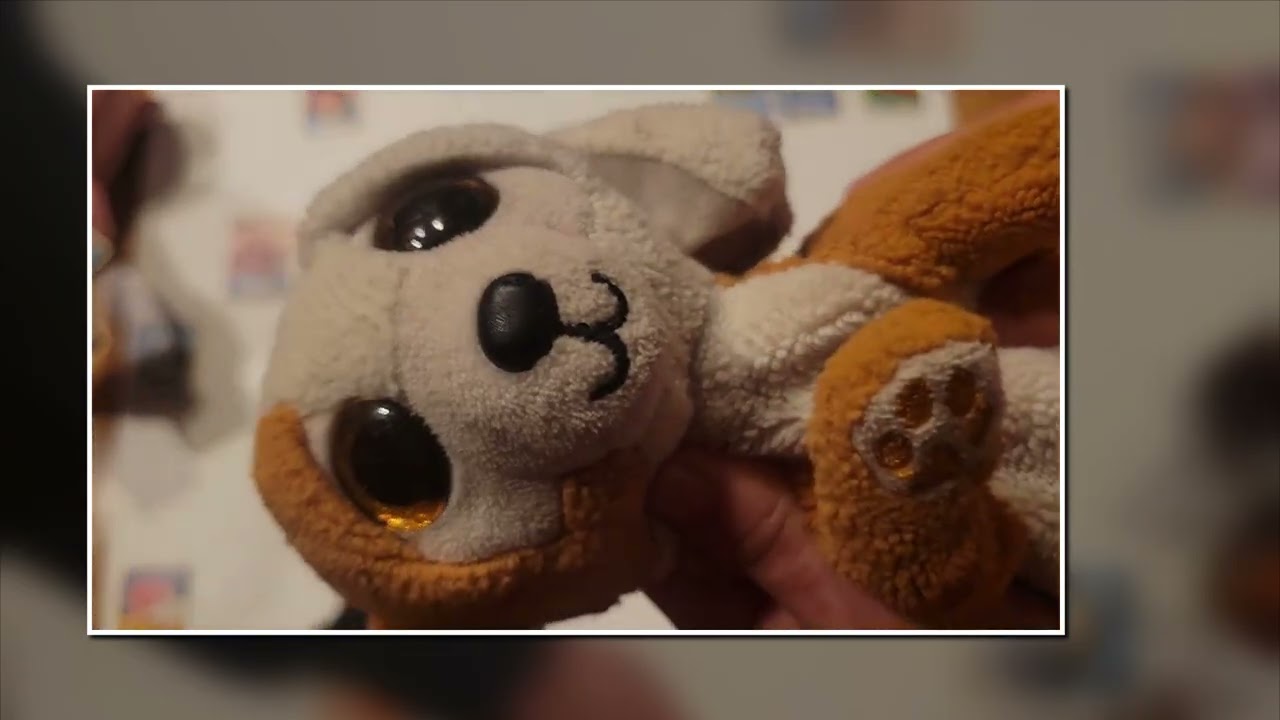 Bear Fruit Rolls Card Collection - Do we have them all?