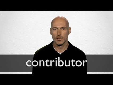 Synonyms of CONTRIBUTOR | Collins American English Thesaurus
