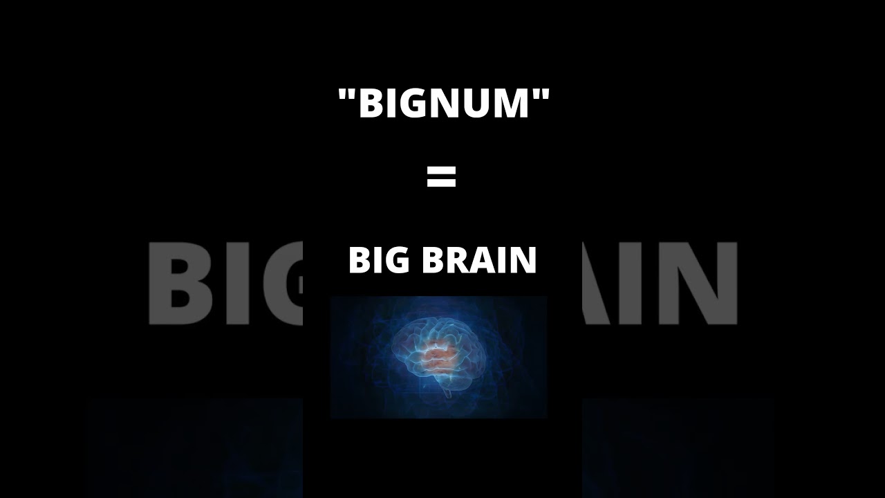 BIGGEST integer in Python!? #python #programming #coding #computerscience