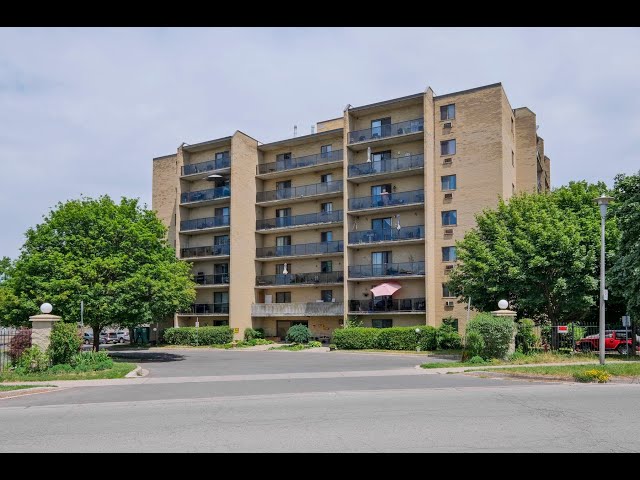 Webster Apartments - 2 Bedroom Apartment Apartment for Rent | Long Term ...