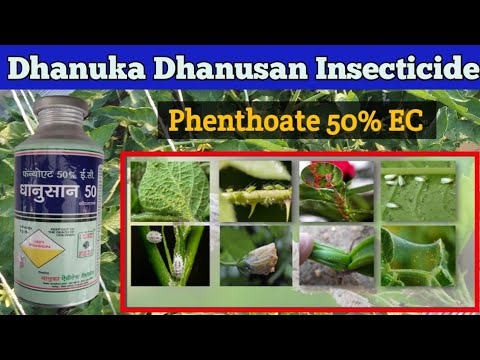 Dhanuka Insecticides - Latest Price, Dealers & Retailers in India