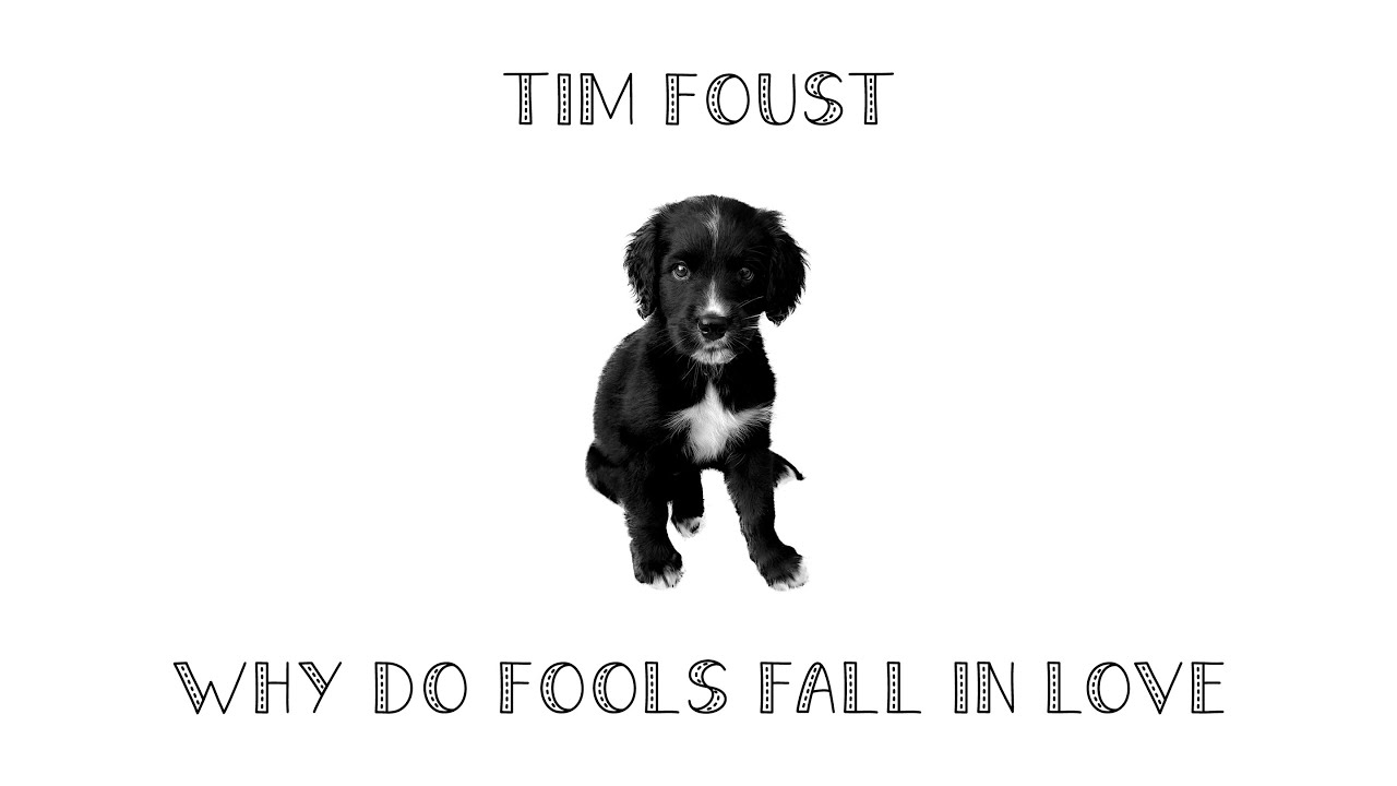 Tim Foust - Why Do Fools Fall In Love