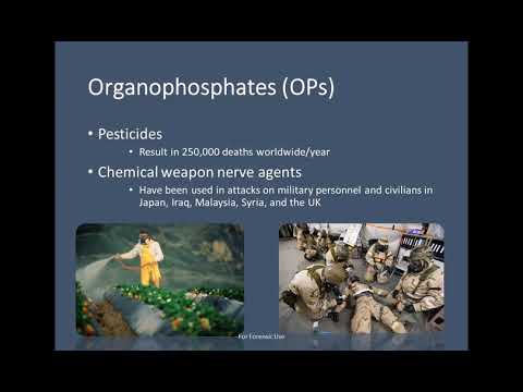 LC-HRMS/MS Method Development for the Analysis Nerve Agents in Bone